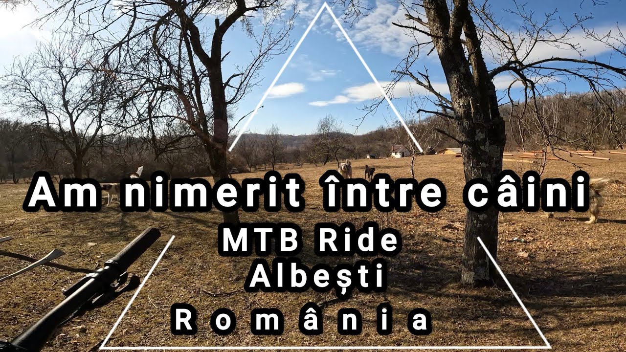 Albeștii de Argeș | tură MTB pe dealuri și prin păduri ⭐ - YouTube