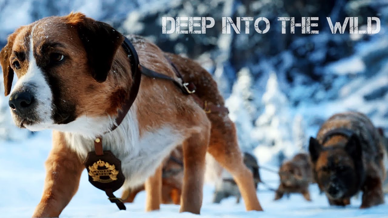 Buck Edit || Call Of The Wild || Deep Into The Wild - YouTube