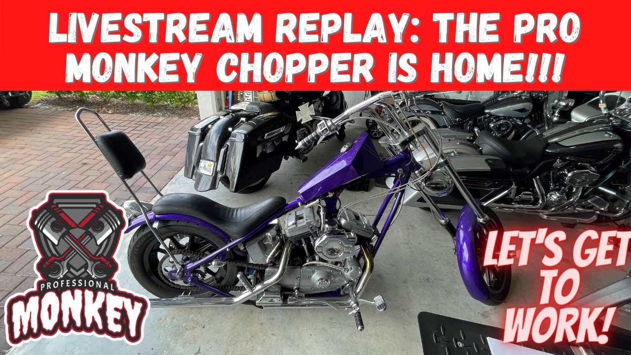 The Pro Monkey Sportster Chopper is Here!!! - YouTube