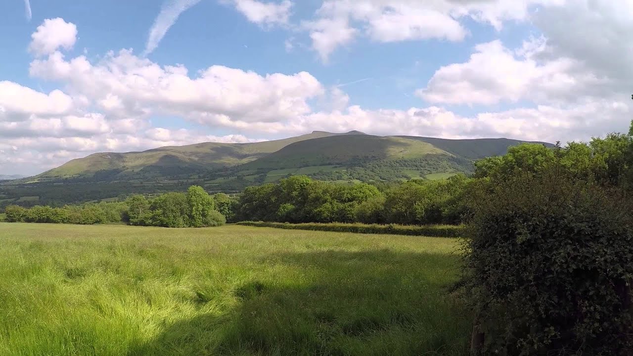 The Long Forest Project - YouTube