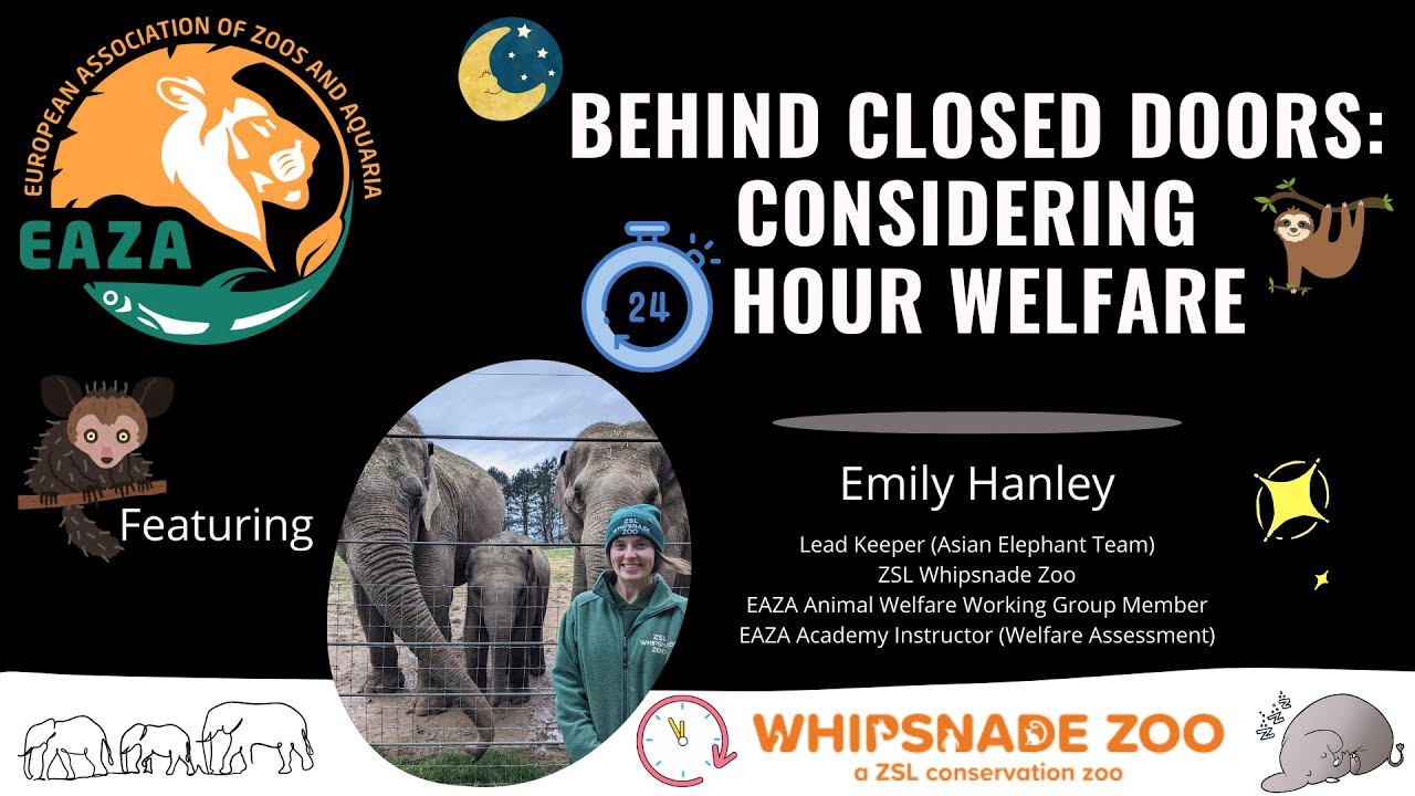 EAZA Welfare Webinar _ Emily Hanley _ 24-hour welfare - YouTube