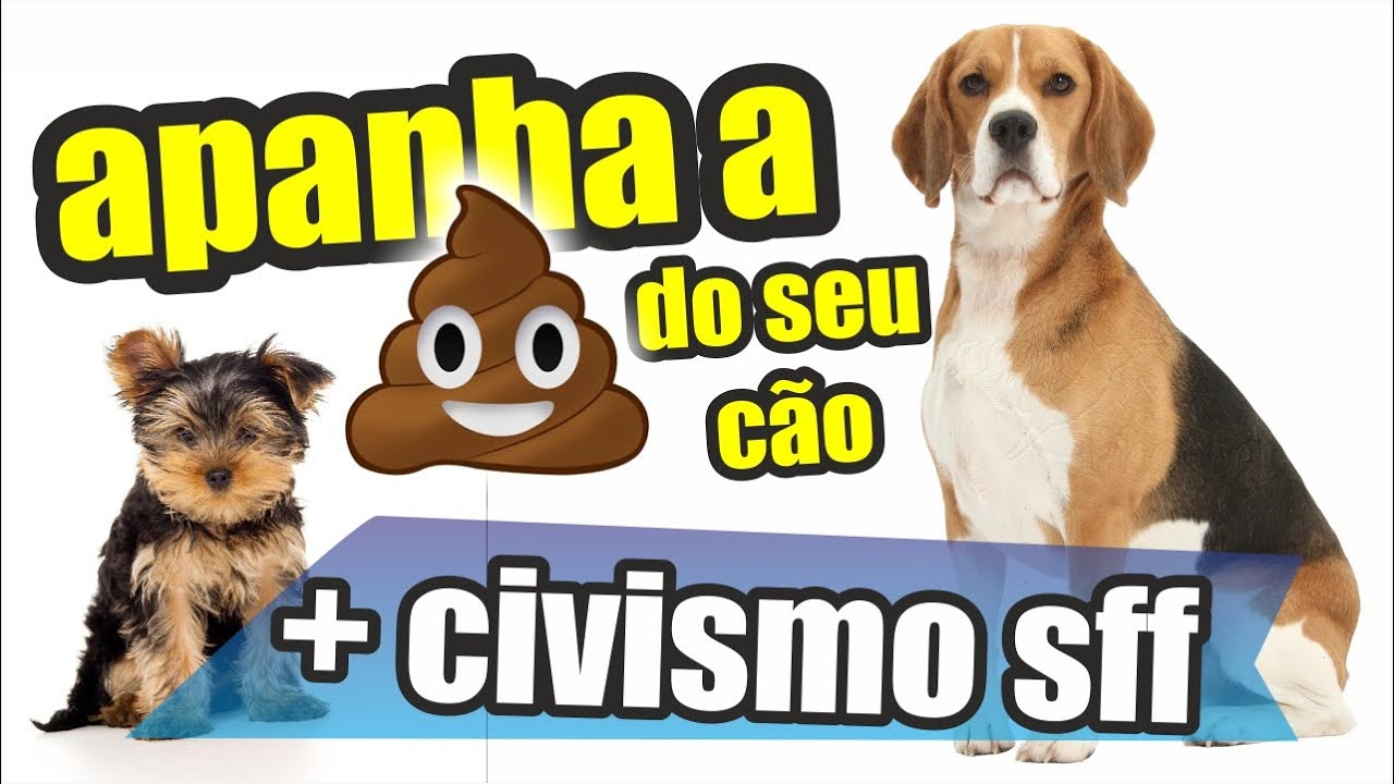 Civismo - 1 passo simples para contribuir com a nossa sociedade. - YouTube