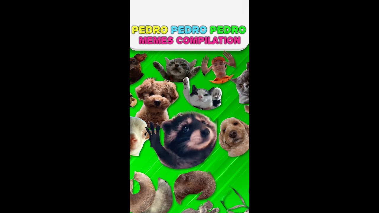 Pedro Pedro Dancing Meme Trend Compilation | Green Screen #pedro # ...