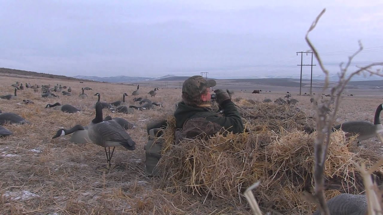 Powder Valley Waterfowl Hunting - YouTube