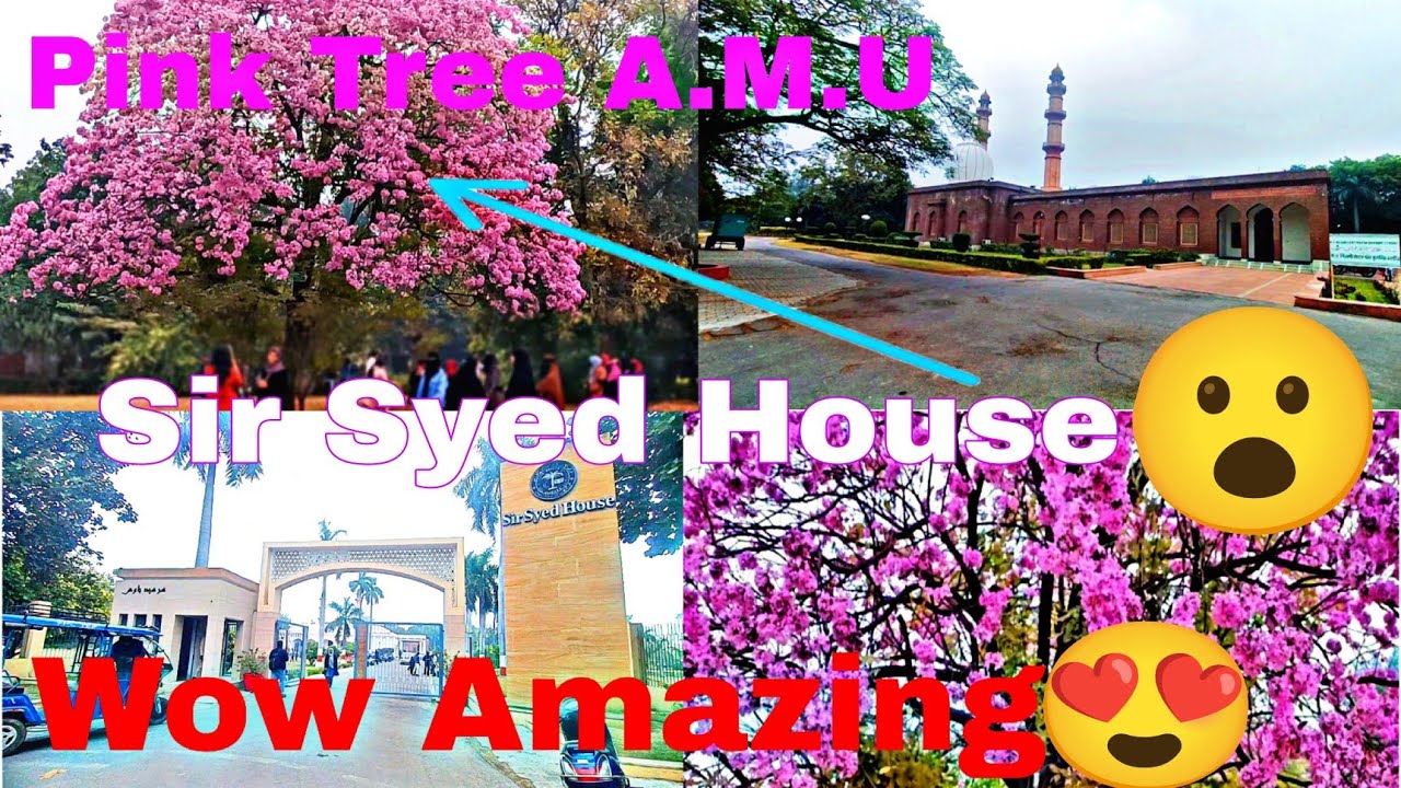 Sir syed house mini vlog | सर सैयद हाउस | Founder House #amu #aligarh # ...