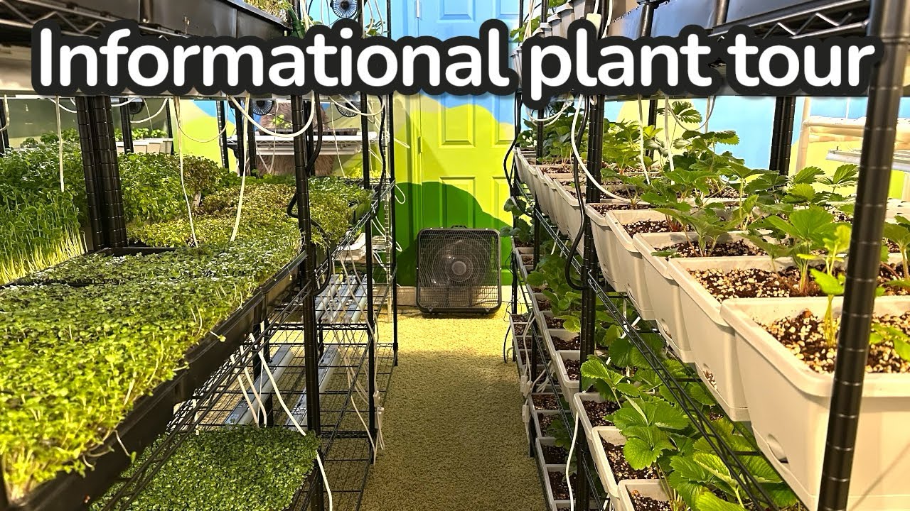 Informational plant tour - YouTube
