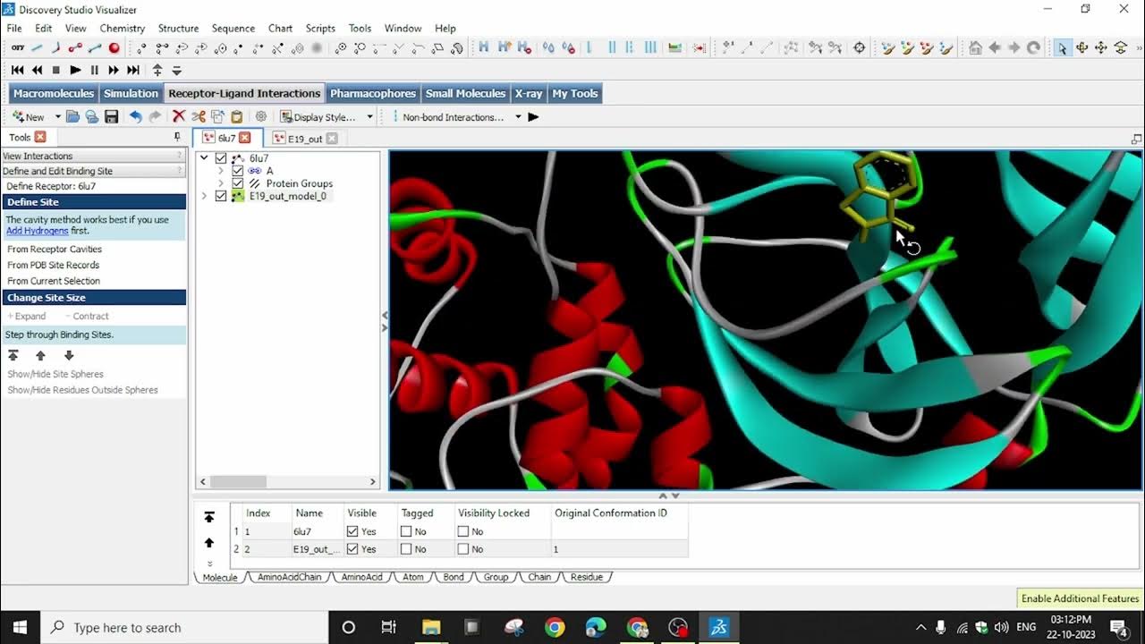 Docking Result Analysis and Validation with Discovery Studio - YouTube