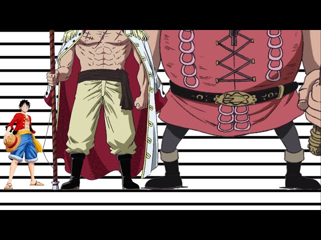 One Piece Characters Height Comparison - Infoupdate.org