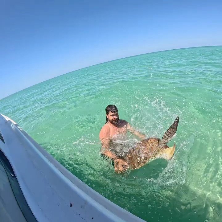 HUNTING TURTLE FOR CHRISTMAS #australia #hunting - YouTube