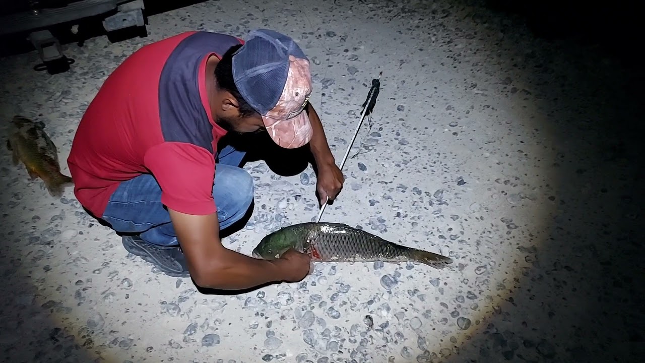 pesca de carpa matalote con arco - YouTube