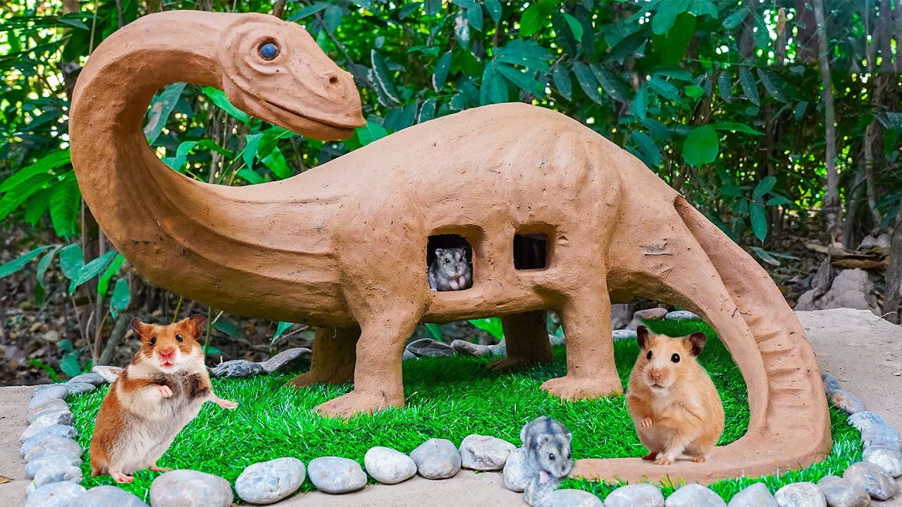 Build Hamster Maze Jurassic Park - Hamster House in Dinosaur - YouTube