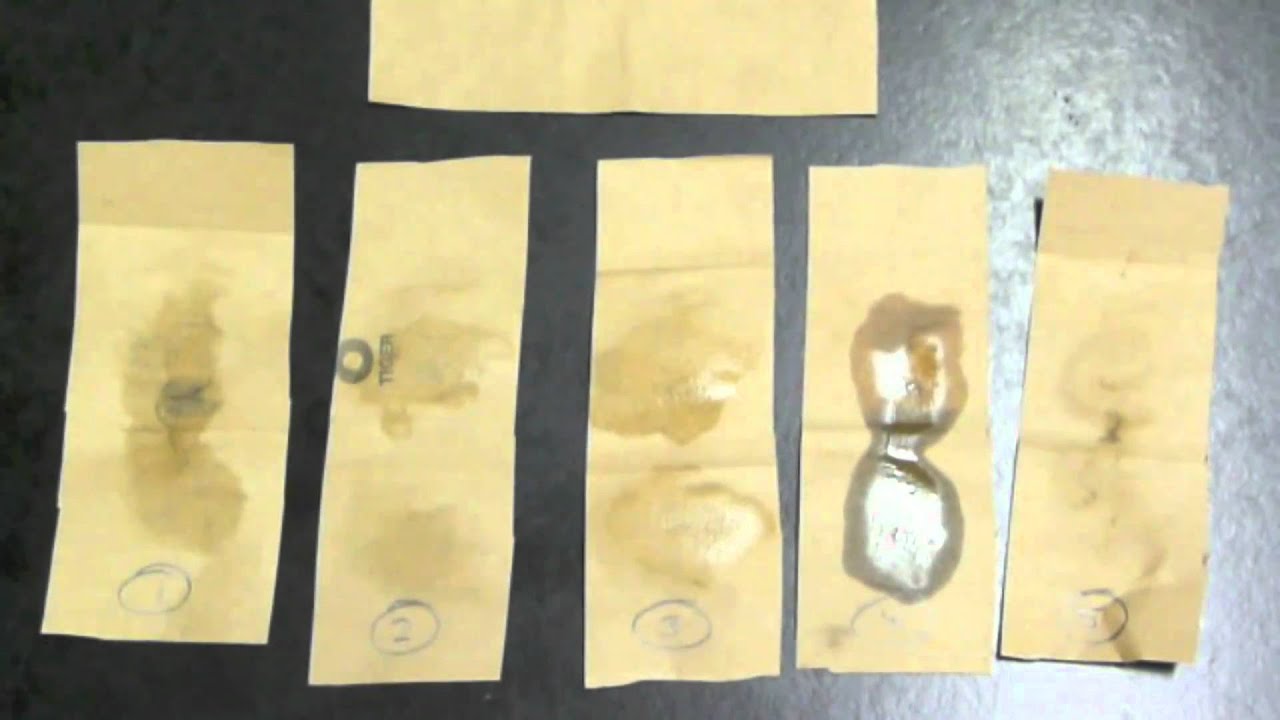 Liquid Fat Test - YouTube