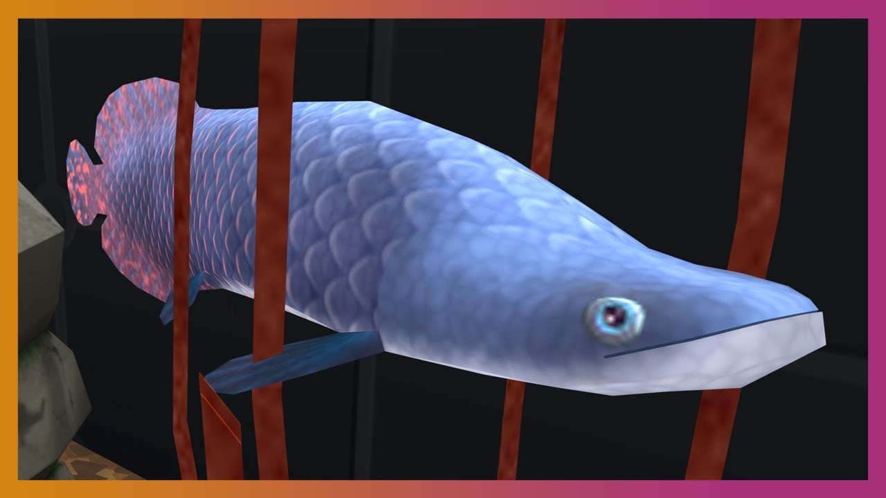 Big FISH | Megaquarium Freshwater Frenzy DLC - YouTube