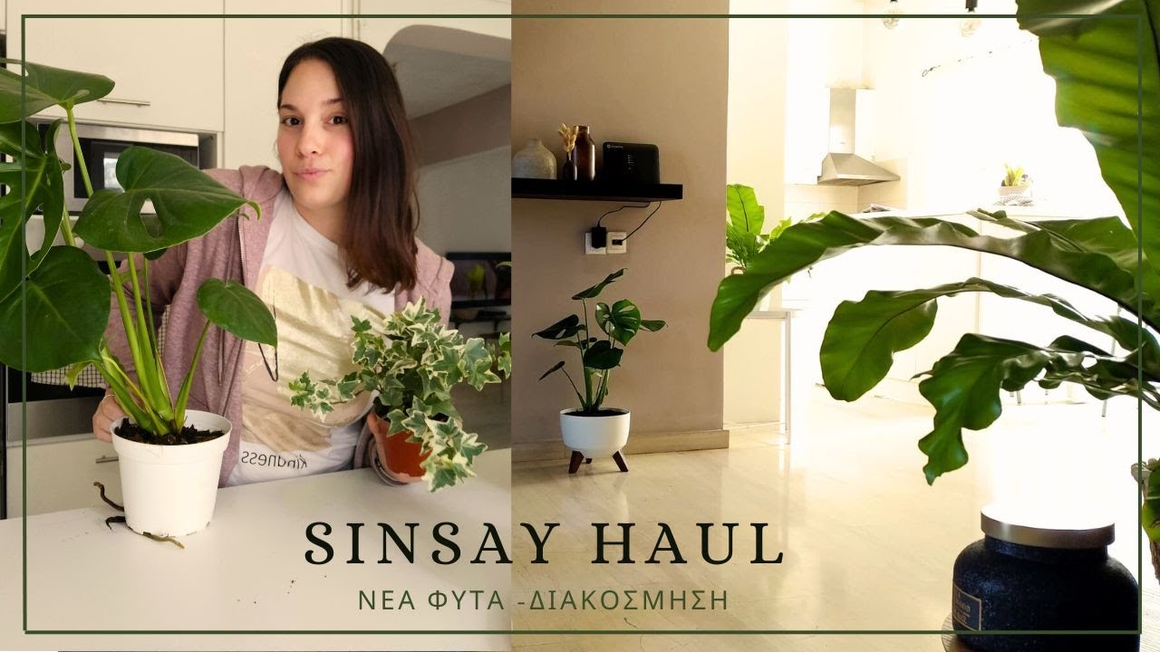 SINSAY HAUL!!!| ΝΕΑ ΦΥΤΑ-ΔΙΑΚΟΣΜΗΣΗ |SUPERMARKET HAUL |Daniela Pateraki ...