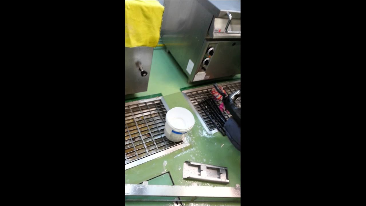 Stewarding training - YouTube