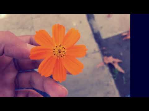 Balabey haqsızlıq.