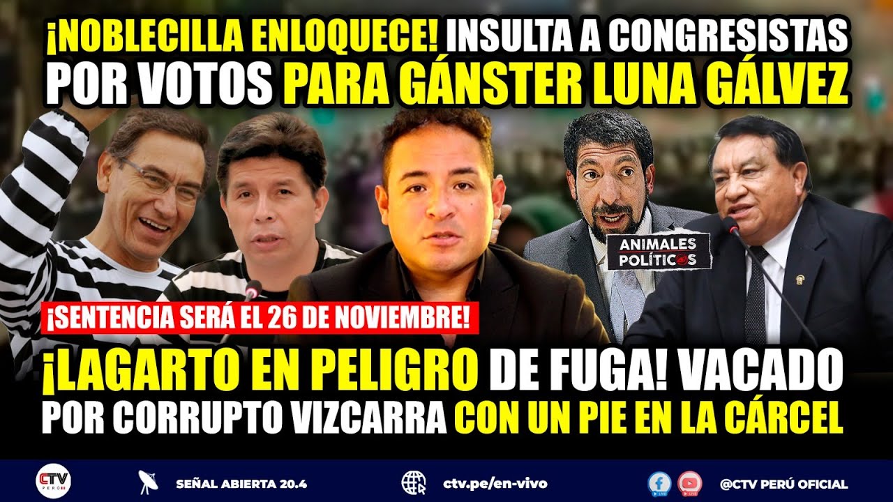 ANIMALES POLÍTICOS con Aaron Salomón #CTVPerú - YouTube