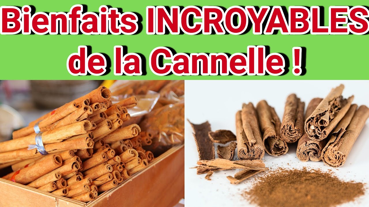 Les 10 Secrets Cachés de la Cannelle : Bienfaits Surprenants pour la ...