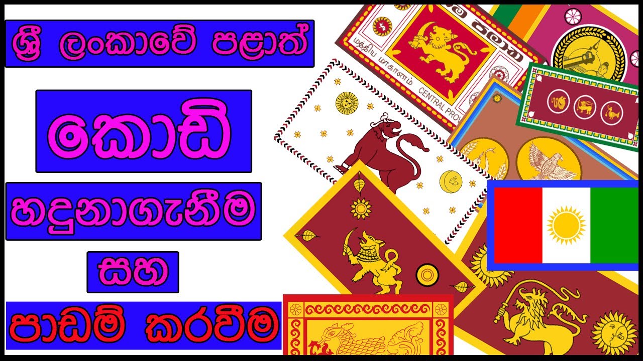 ශ්‍රී ලංකාවේ පළාත් කොඩි හදුනාගැනීම 🌼 | Sri Lankan Provincial Flags ...
