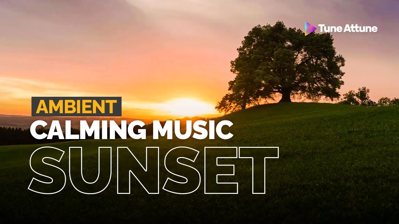 Ambient Calming Music, Meditation, Relaxing Sunset In Farm (2022) - YouTube
