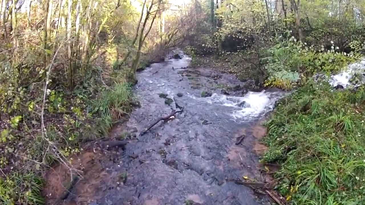 Harridge wood - YouTube