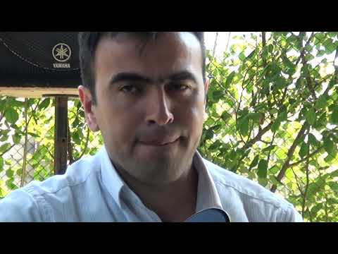 Vüsal Bərdəli Hacallı Səddamın toyu