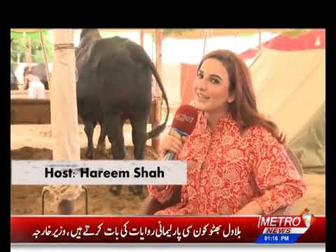Hareem Shah in Maweshi Mandi | The Hareem Shah Show | Metro1 News | 30 June 2021