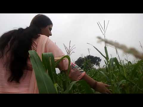 very beautiful video amandeep kaur