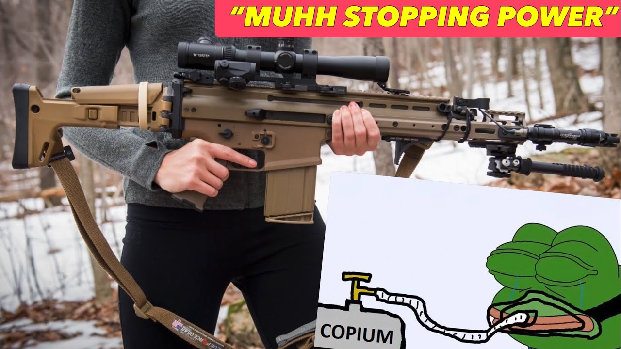 Battle Rifles SUCK for WROL - 2025 Edition - YouTube