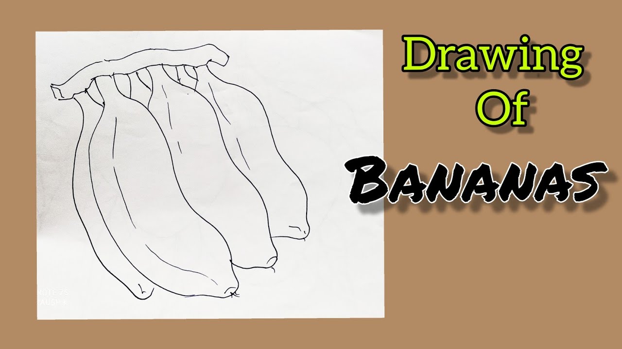 Draw Bananas ( একছড়া কলা) - YouTube