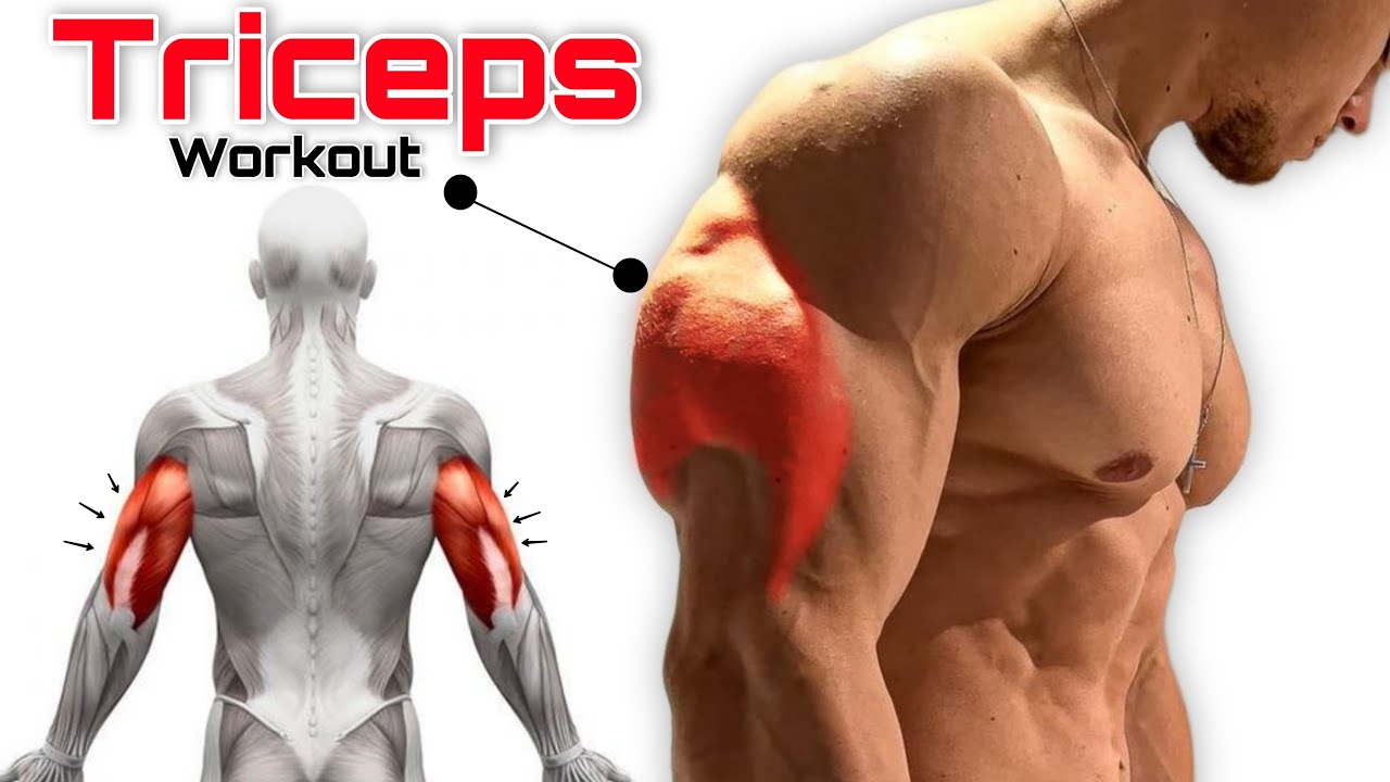 How to Build Huge ARMS 💪🏻(Triceps Workout Routine) - YouTube