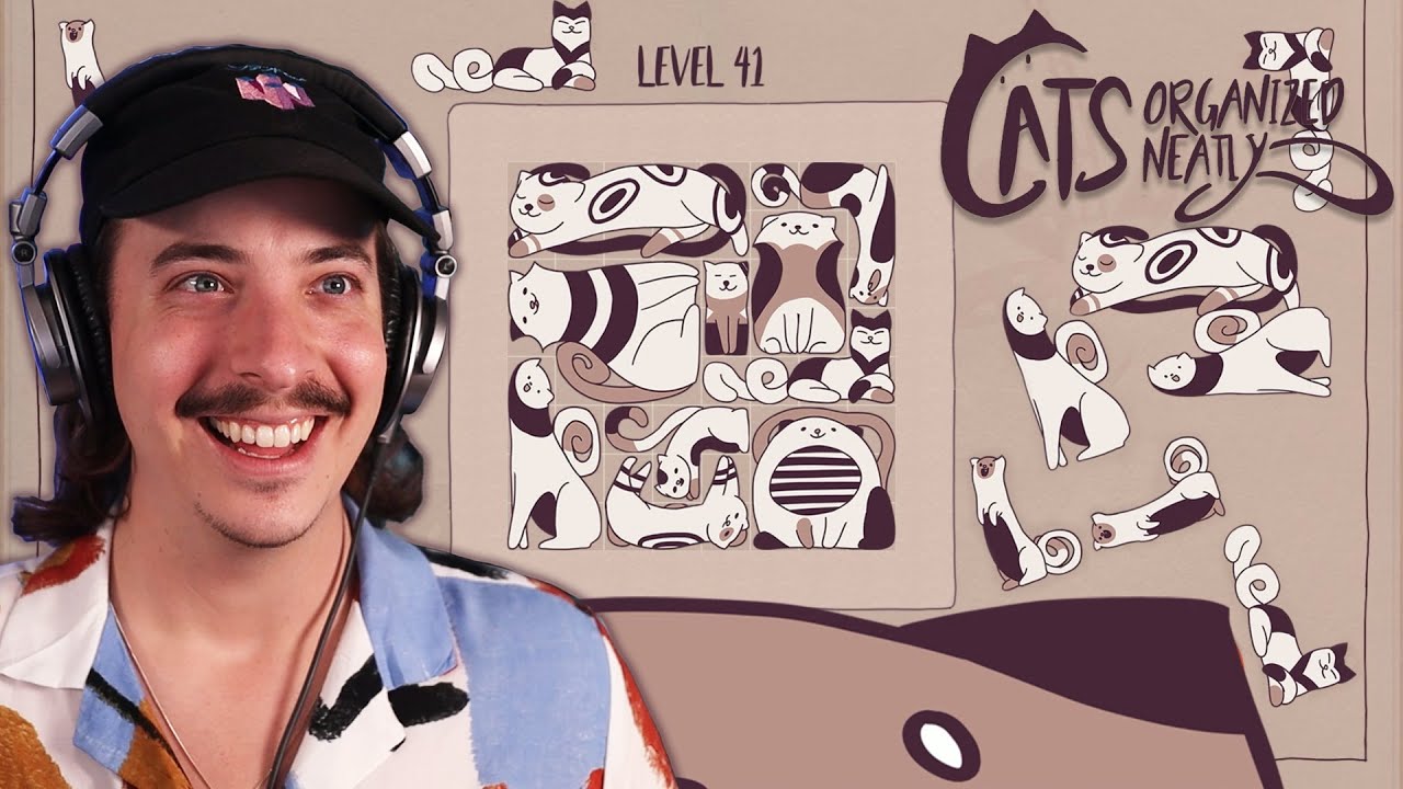 I DIDN'T EXPECT THESE CAT PUZZLES TO BECOME SO DIFFICULT | Cats ...