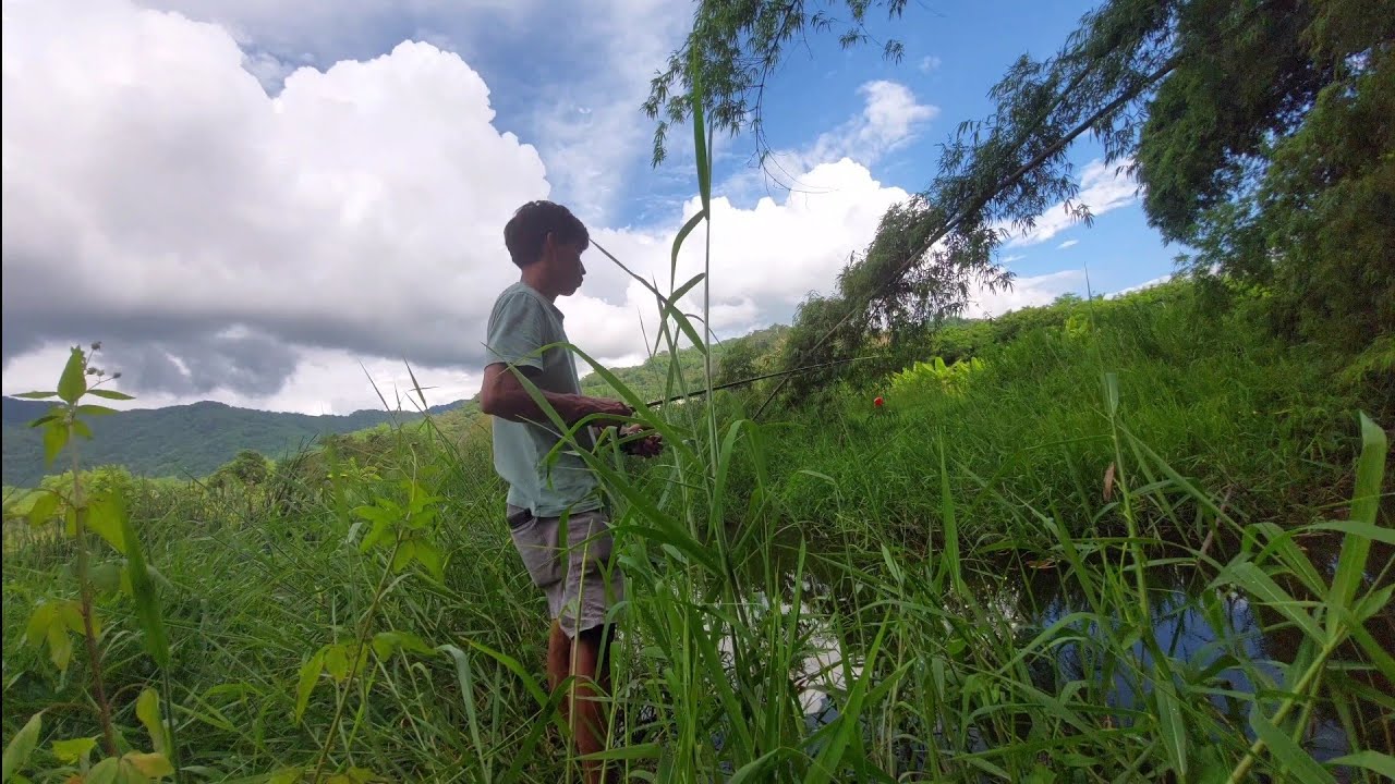 spot…penuh rawa rawa tebal,,,, - YouTube