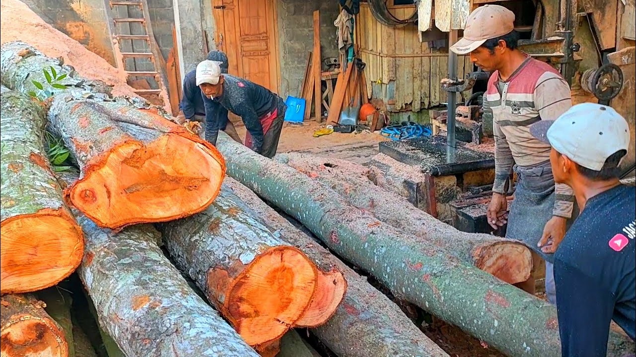 Mantap!!! proses pengolahan balok dan papan dari kayu Bayur merah - YouTube