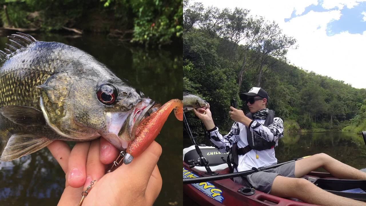 Wild Bass Fishing - Tight Water - YouTube