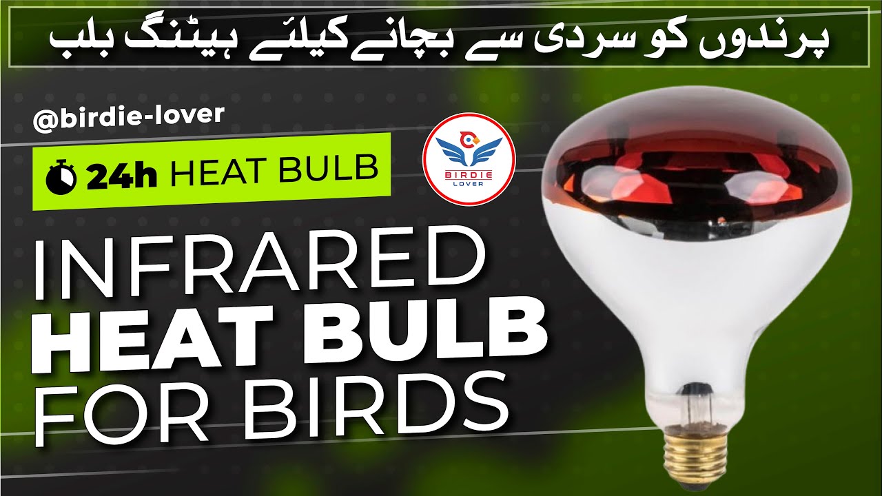 INFRARED HEATING BULB FOR BIRDS CAGES /AVIARY | PARINDO KO SARDI SE ...