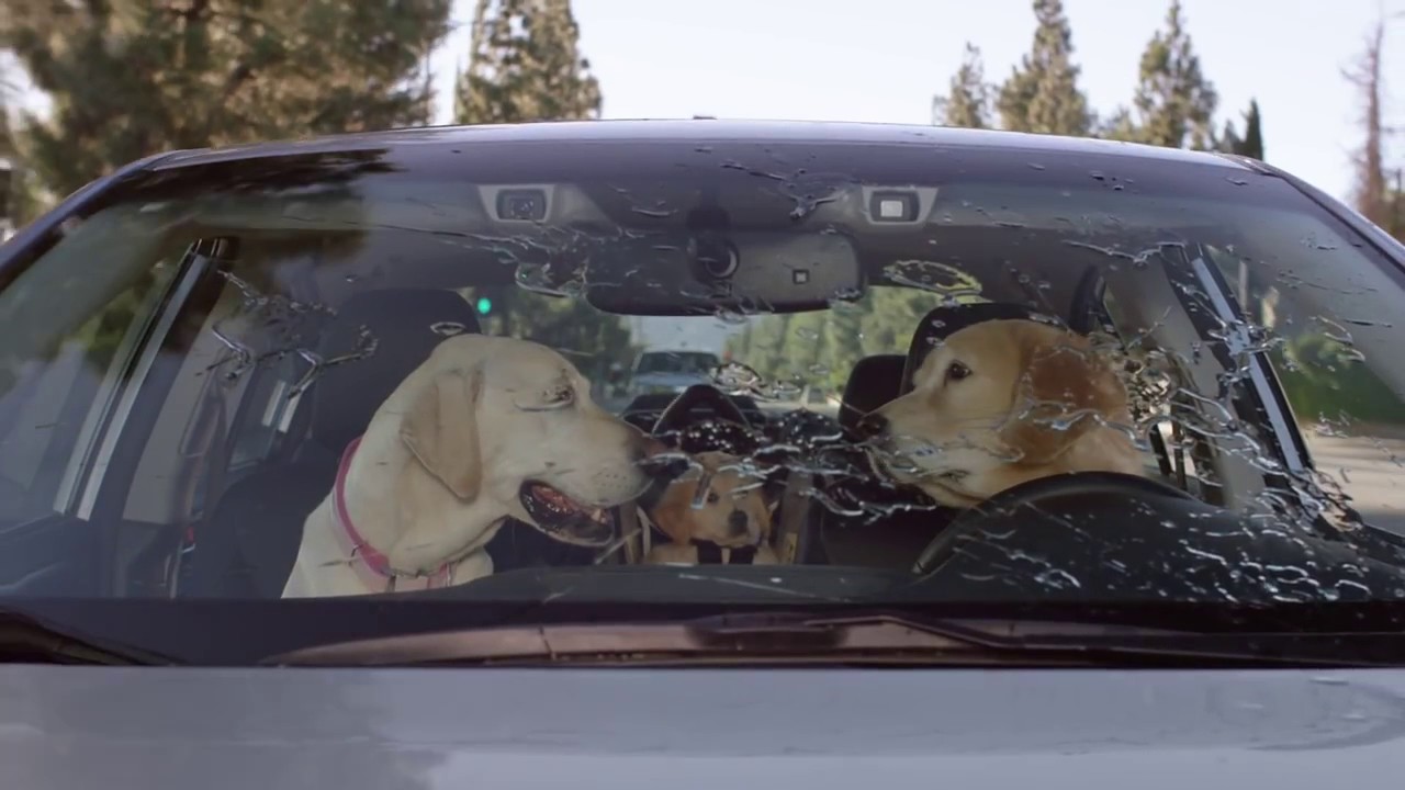 Subaru Dog Tested Subaru Commercial Windshield Wiper - YouTube