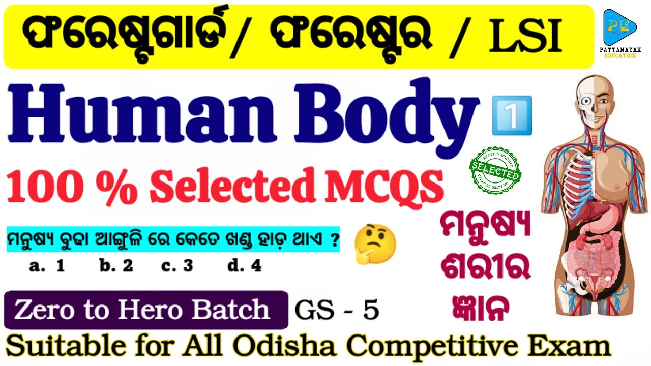 Human Body selected MCQS | General Science ( Human Body ) Selected ...