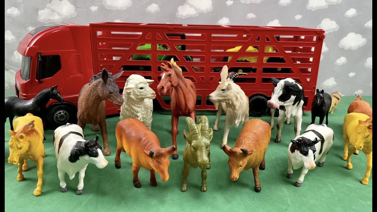 TRANSPORTING THE FARM ANIMLS IN THE RED TRAILER / TRANSPORTANDO OS ...