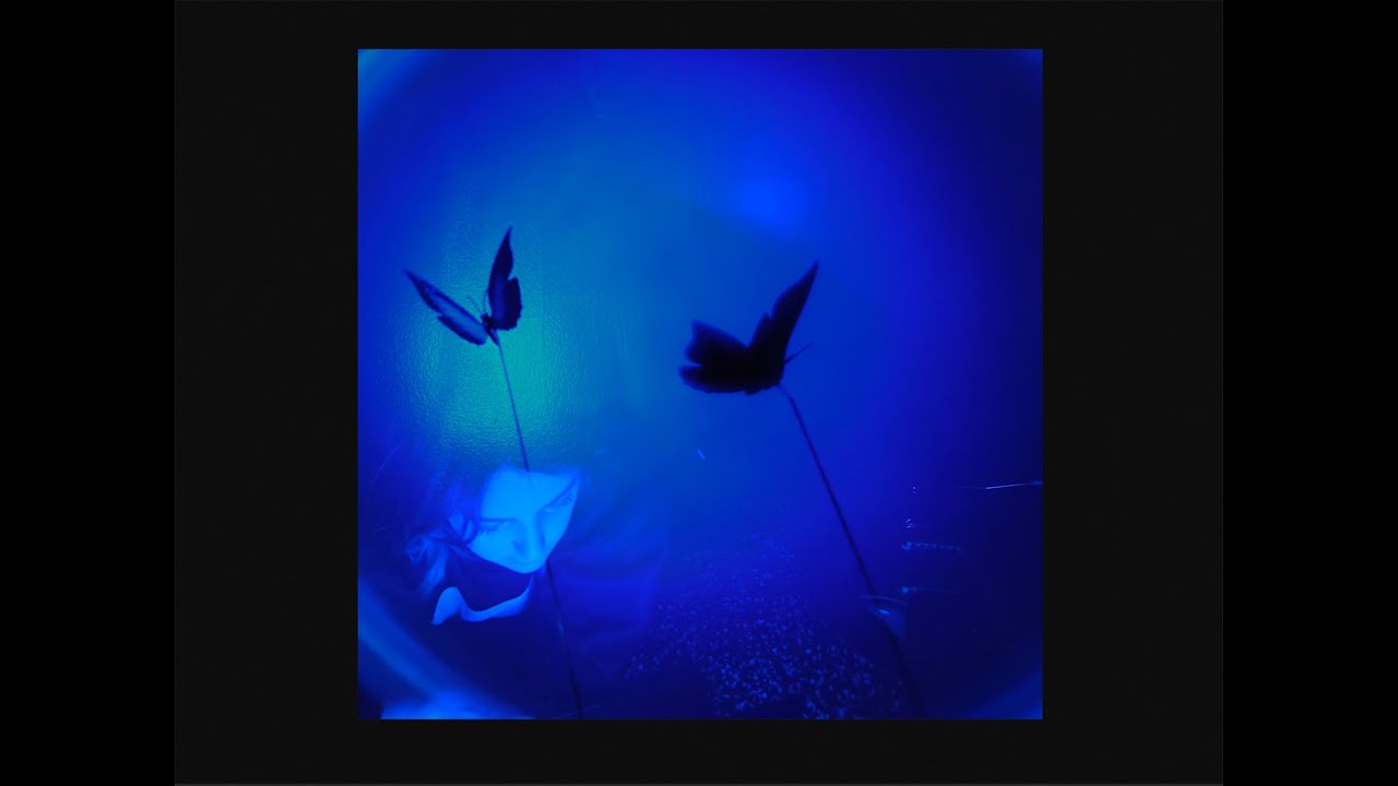 Blue Light – Lyric Video - YouTube