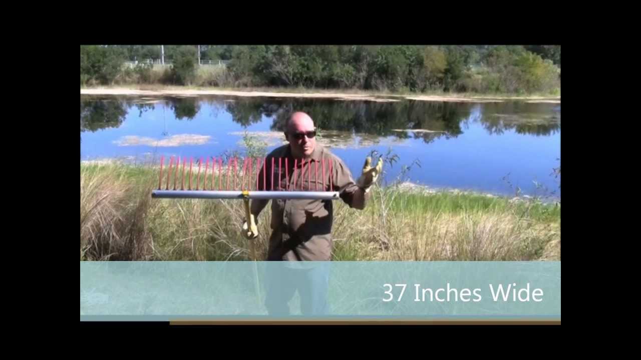 Weed Raker Lake Weed Rake: Aquatic Weed Rake - YouTube