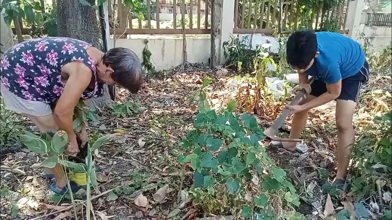 Magtanim para may anihin - YouTube