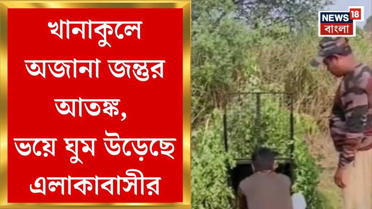 Khanakul News : খানাকুলে অজানা জন্তুর আতঙ্ক, ভয়ে ঘুম উড়েছে ধোবাঘাট ...