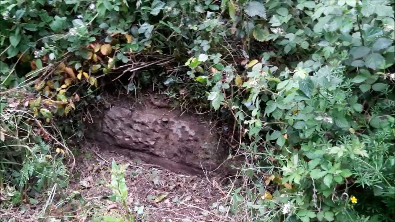 18. Knock Station on the Comber Greenway - YouTube