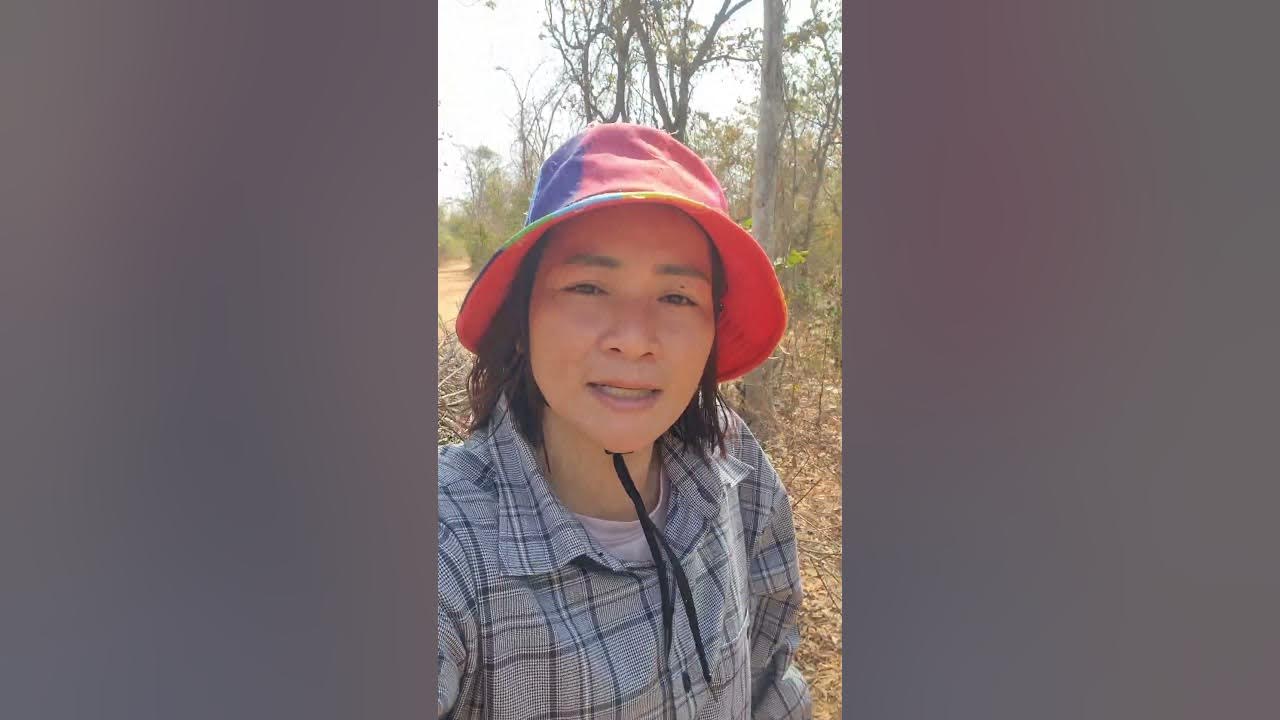 เข้าป่า - YouTube