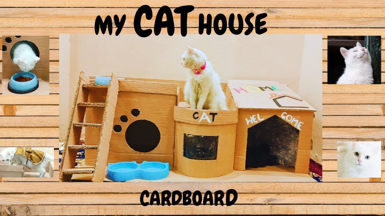 DIY My Cat House With CardBoard #cathouse - YouTube