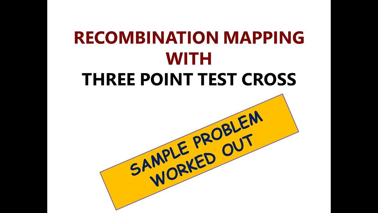 3 POINT TEST CROSS SAMPLE PROBLEM WORKED OUT - YouTube