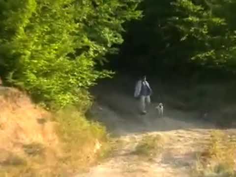 Vara vara vardım ol kara taşa Yazılan geliyor sağ olan başa...