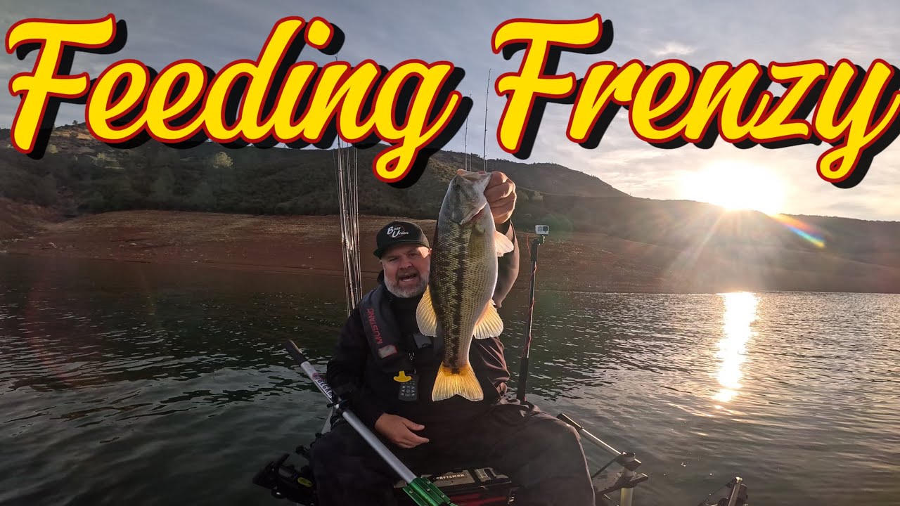 BASS Fishing Frenzy - INSANE Feeding Reaction! - YouTube