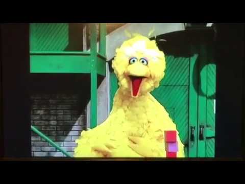 Big Bird's Block Tower Gets Ruined!!!!!!! - YouTube
